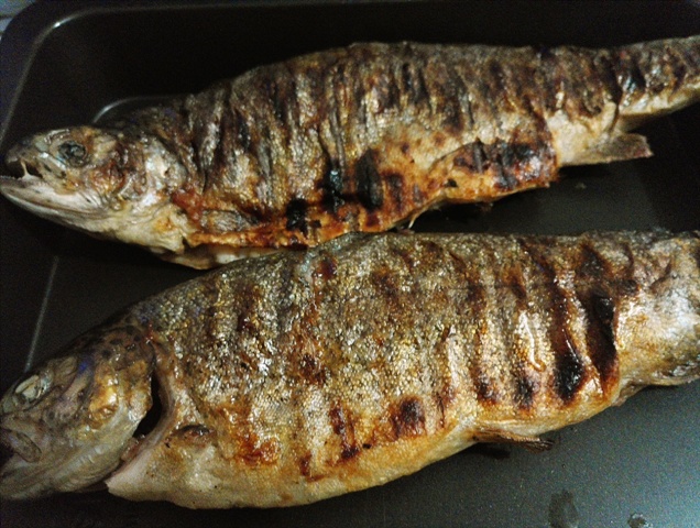 Pastrav la gratar cu salata in stil mediteranean - Food Joy